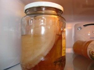 A kombucha gomba jótékony hatásai – Life.ma
